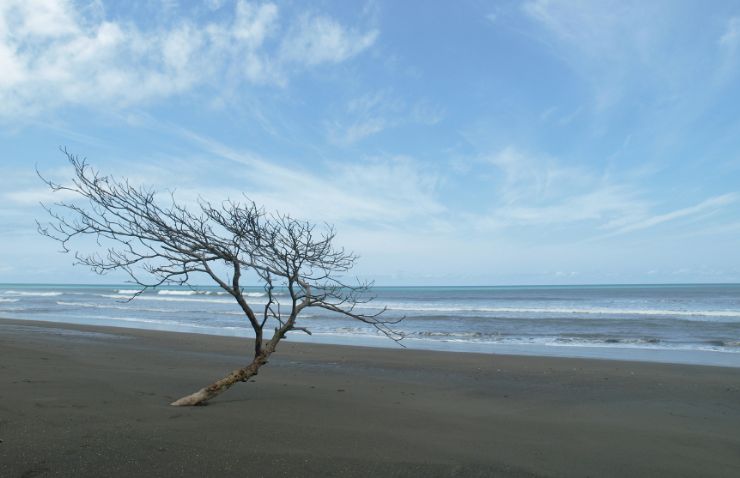 Carate, Puntarenas - Go Visit Costa Rica