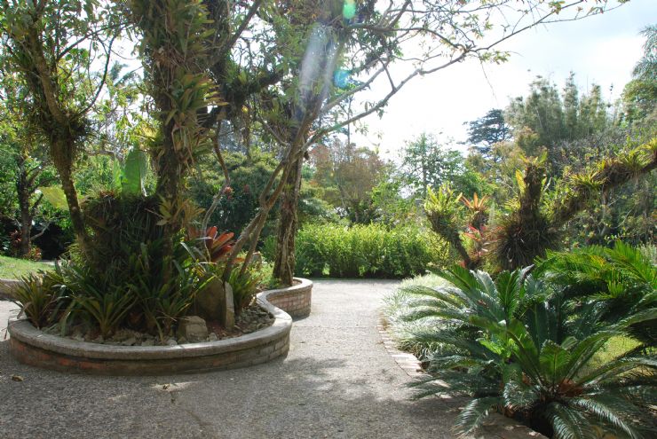 Jardín de Flores en Costa Rica - Go Visit Costa Rica