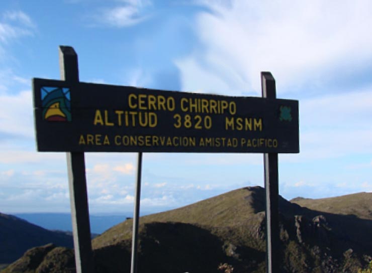 Hacer frente a la montaña más alta de Costa Rica en una caminata por el ...
